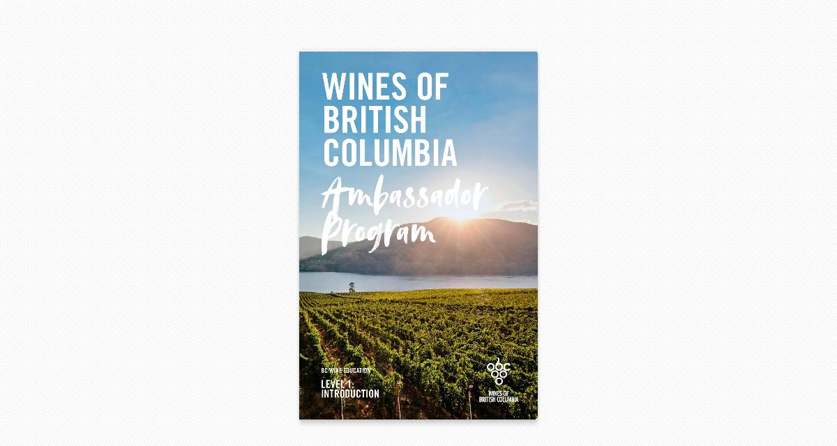 Ambassador Program - Level One